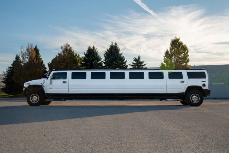 20 Passenger Hummer H2 SUV - Total Eclipse Limousine Service